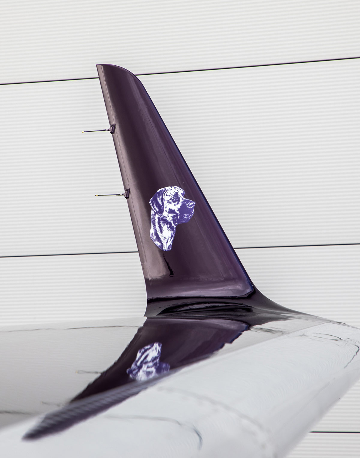 Embraer Legacy 500 (G-WLKR) - Air Charter Scotland